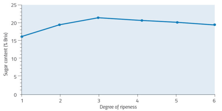 La biochimie des bananes – scienceinschool.org