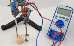 Science on a shoestring: inspiring experiments with everyday items ...