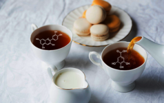 Science on a shoestring: inspiring experiments with everyday items ...