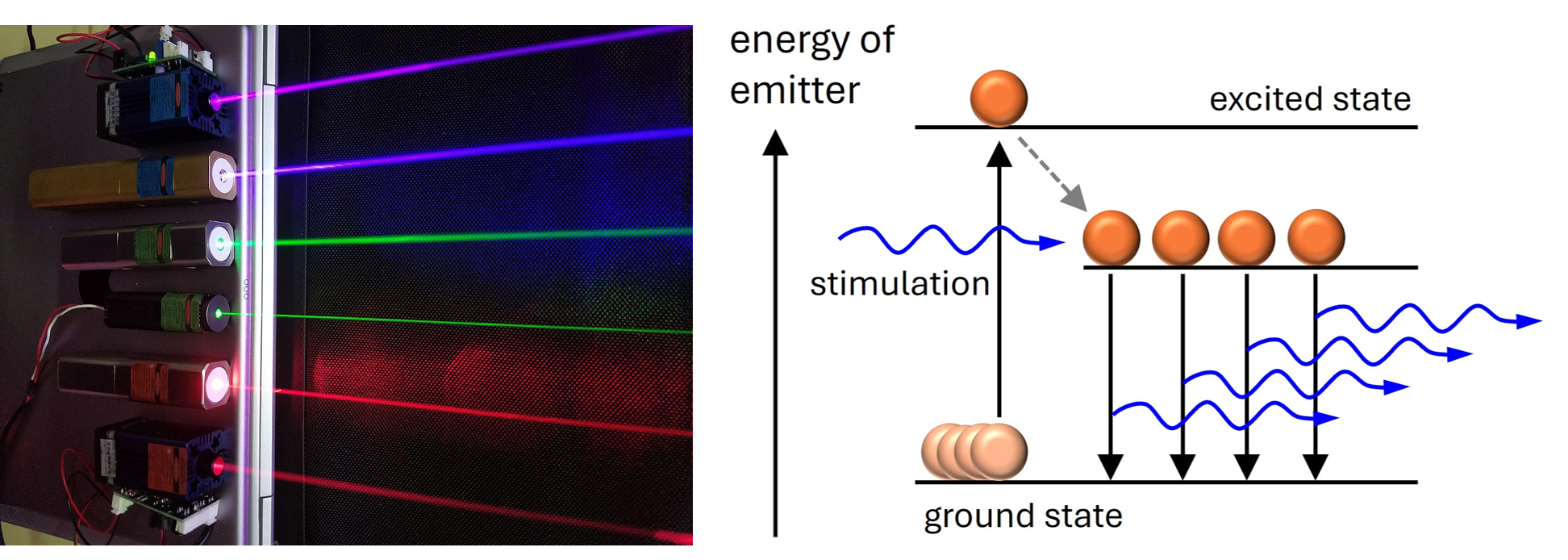 From birds to photons: collective phenomena in materials science ...