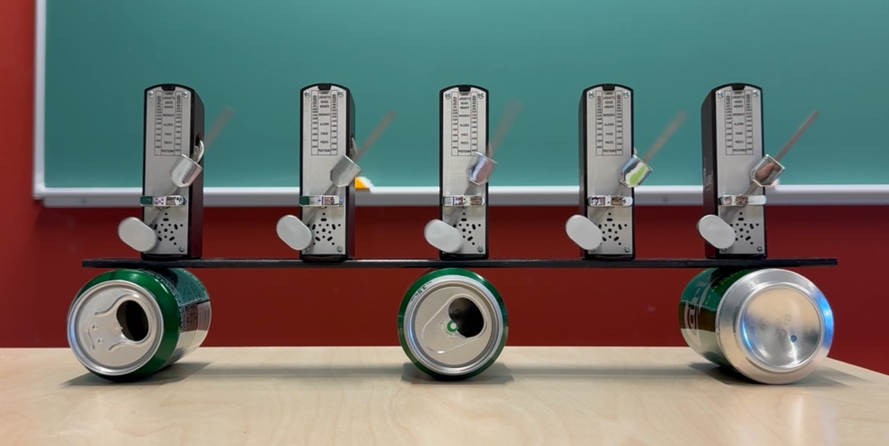 Biological oscillations: the rhythms of living things – scienceinschool.org