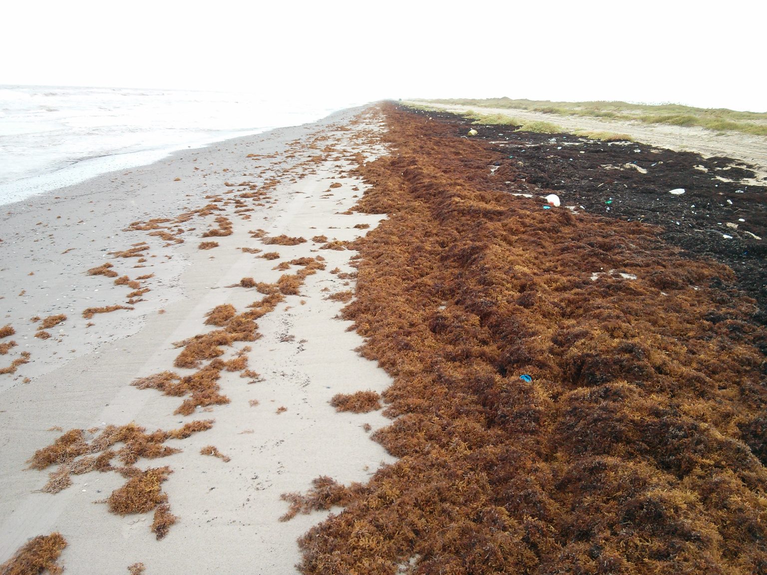 Sandy beaches: connecting land, ocean, and humans – scienceinschool.org