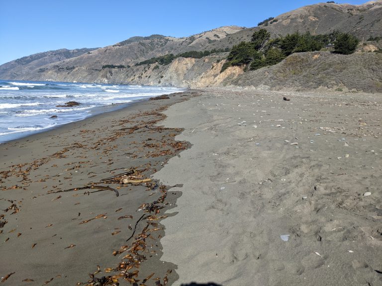 Sandy beaches: connecting land, ocean, and humans – scienceinschool.org
